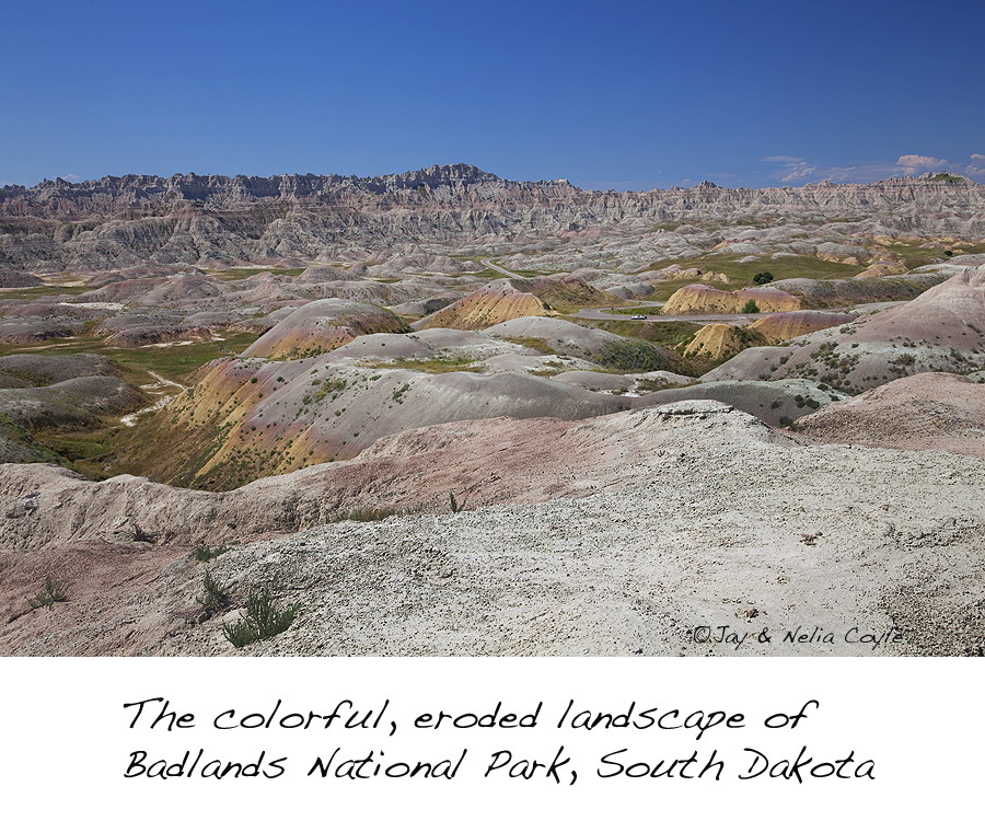 DNA-X # 7 Badlands | Land Rover Palm Beach